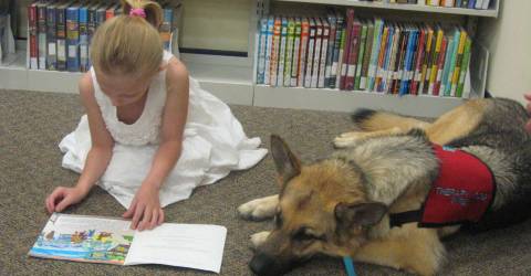 Therapy dog visits library