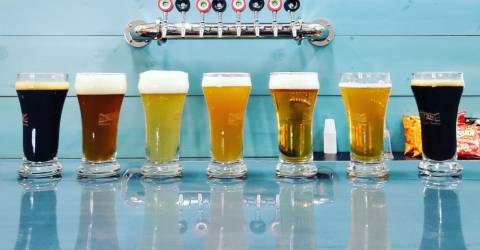 Beer is for everybody at Apex Brewery