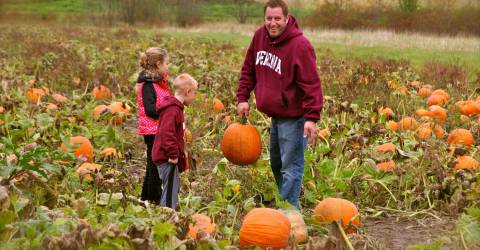 Pumpkin season opens at Heaven Hill Farm