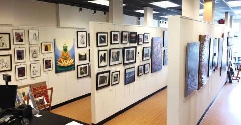 Skylands Gallery plans exhibit, reception