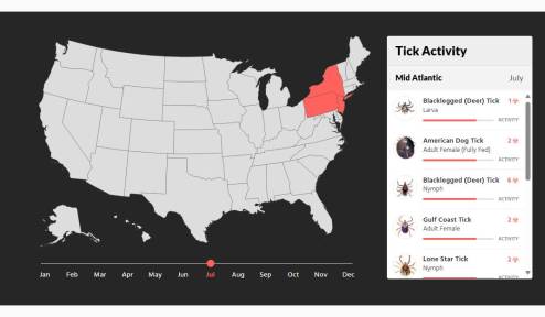 Tick-borne illnesses: How to protect people, pets in the height of summer
