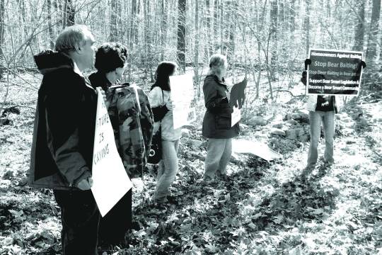 Anti-bear hunt activists stage protest simulation