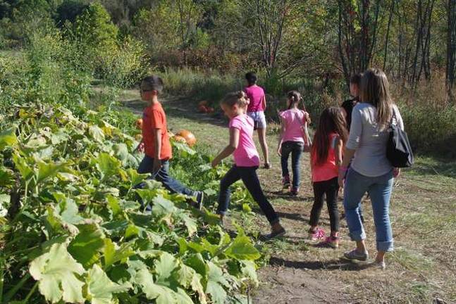Heaven Hill Farm hosts PumpkinFest